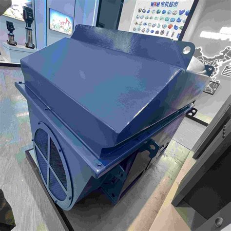 Variable Speed Medium Voltage Induction Motor Three Phase Jis