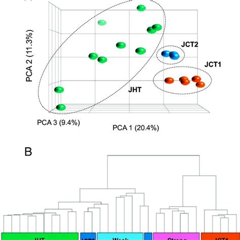 Gene Expression Profiles Of Six Candidate Genes With Sex Associated Download Scientific Diagram