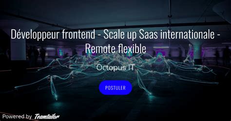 Développeur Frontend Scale Up Saas Internationale Remote Flexible Octopus It