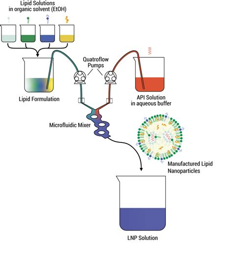 Beyond Lipids The Science Of Lnp Manufacturing And Fill Finish