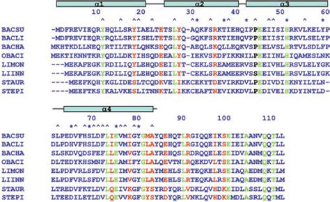 Sequence Alignment Of N Rsbu Orthologues The Construct Used For
