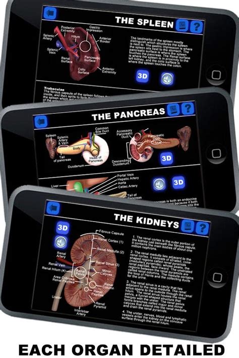 Anatomy D Organs Android Apps On Google Play