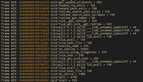 Segfault With Recursive Nvimgetruntime · Issue 23012 · Neovimneovim · Github