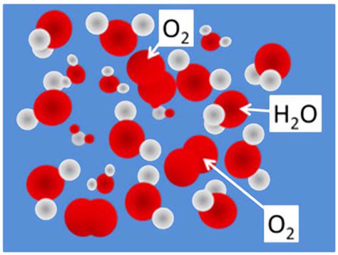 Dissolved Oxygen In Drinking Water Atlas Scientific