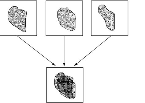 The Probability Distribution Map Download Scientific Diagram