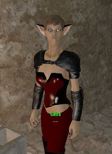 Catra Companion Npc Companions Loverslab