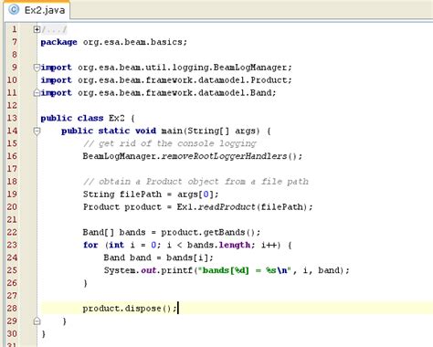 Beam Java Tutorial Exercise 2