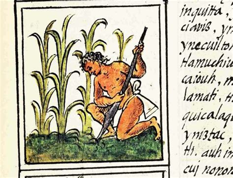 El Mito Azteca Que Narra La Historia De La Llegada Del Maíz
