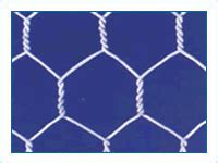 供应六角网 九正建材网