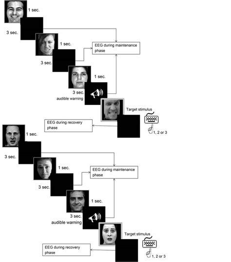 EEG Correlations During A Working Memory Task With Emotional Stimuli In Girls With Post