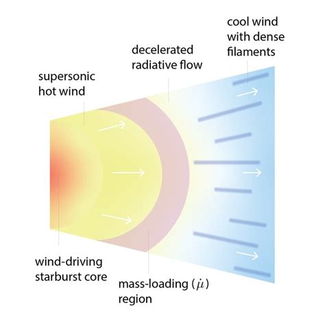 Schematic Detailing The Mass Loaded Galactic Wind The Wind Emerges