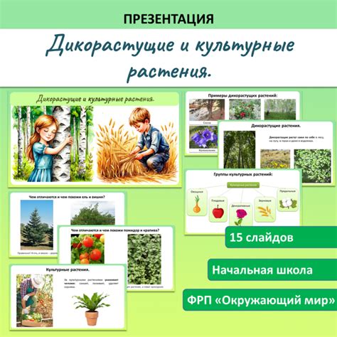 «Презентация к уроку «Растения Окружающий мир 2 класс По учебнику Плешакова