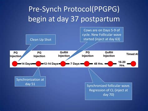 Estrous Synchronization Pptx