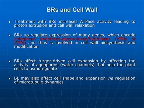 Brassinosteroids Pptx