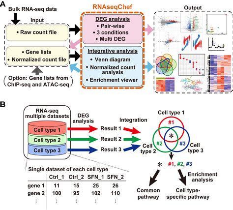 RNAseqChef A Web Based Integrative Transcriptome Analysis To Automatically Detect Integrate