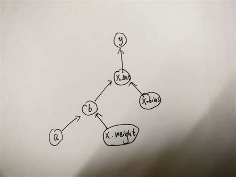 Which Is Freed Which Is Not Autograd Pytorch Forums