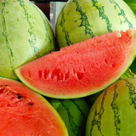 Water Melon Each Dela Fresh Foods
