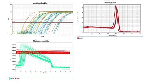 Quantitative Pcr Of T7 Bacteriophage From Biopanning Abstract
