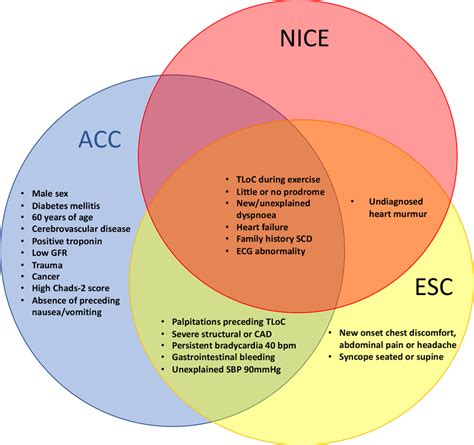 Venn Diagram Of The Esc Acc And Nice High Risk Syncope Features A Download Scientific