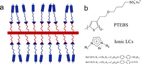 Scheme 1 A Schematic Of Supramolecular Complex Of Conjugated Download Scientific Diagram