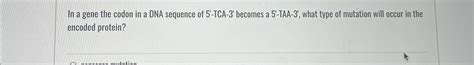 Solved In A Gene The Codon In A Dna Sequence Of 5 Tca 3