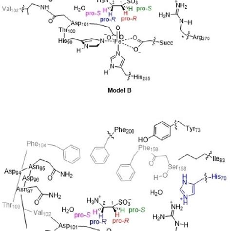 Dft Cluster Models B And C Used In This Work Wiggly Lines Show Where
