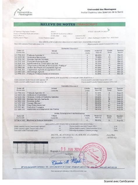 Level 3 Transcript Pdf