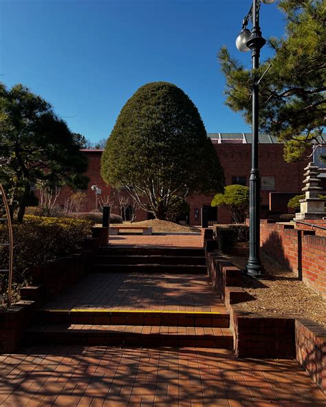 아 로 새 길 꽃 저는 공간에 꽃을 두는 것을 정점이라 생각하고 식물을 돌보는 마음이야 삶의 여유를 진정 맞이한 것으로 정의하곤 합니다 그리고 그 이상으로 재미있어도