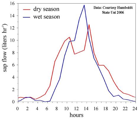 Measuring Sap Flow In The Worlds Tallest Trees With The Heat Ratio Method ICT International