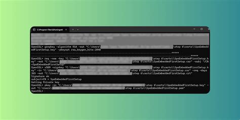 Step By Step Configuring Sharepoint Embedded Container Types