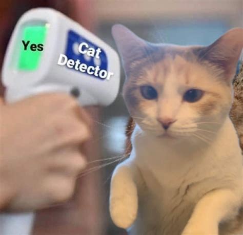 155 Best R Wunkus Images On Pholder Wunk Metamorphosis