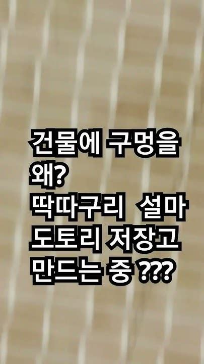 건물에 구멍파는 딱따구리딱다구리도토리저장고세상에이런일이 Youtube