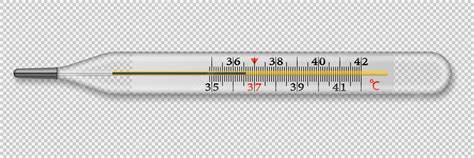 Premium Vector Glass Medical Mercury Thermometer Traditional