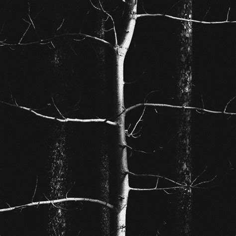 𝖘ۙइࣦঅ᤻᤻͟জֹহ 𝟫𝟢 𝐥𝗎۫𝗇ֻ𝖾𝗋𝖾 𝗋𝖺𝗇꯭𝖼𝗈𝗋 𔐼̷ Em 2024 Book De Fotos