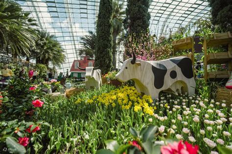 Gardens By The Bay Tickets Singapore Cloud Forest And Flower Dome