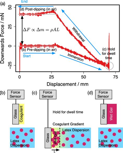 Macroscopic Coagulant Dipping A An Example Force Displacement Curve Download Scientific