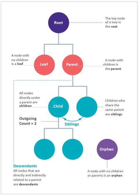 Hierarchical Tree Terminology Explained