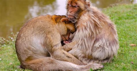 The Future Of Threat Intelligence How Ai And Predictive Analytics Revolutionize Cybersecurity