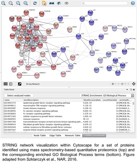 Cytoscape App Store Stringapp