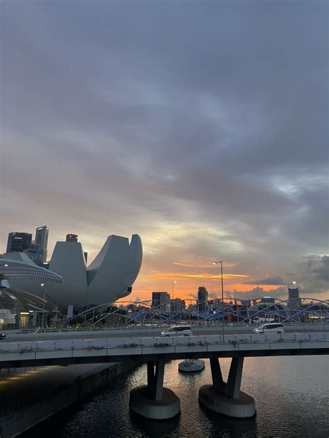 4박6일 🇸🇬 싱가포르 여행 Day4 선텍시티 국립도서관 부기스 스벅 머라이언공원 마리나배이 플라워돔 클라우드포레스트 하이디라오 싱가포르 플라이어 동방