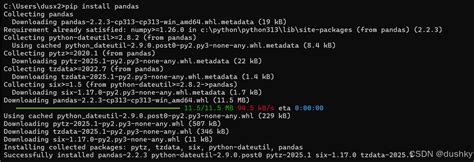 无法从源解析导入 Pandas”？无法从源解析导入pandas Csdn博客