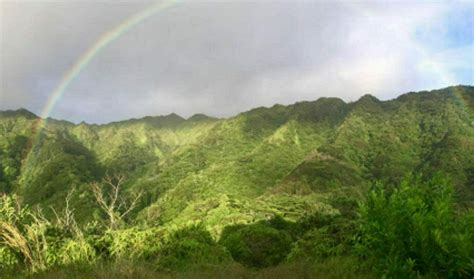 Puu Pia Trail Hike Terry Sasaki