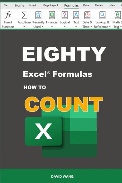 80 Excel Formulas How To Count Wang David 9798371513786 Books Amazon Ca