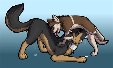 Rule 34 Age Difference Alaskan Malamute Canine Cum Cum In Mouth Cum