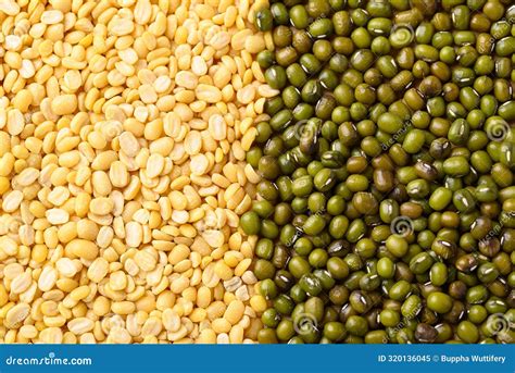 Yellow Peeled Split Mung Bean And Green Mung Bean Seed Stock Image Image Of Mung Dried 320136045