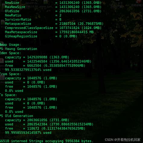 【linux】java进程cpu 使用率过高问题排查gc Task Thread Csdn博客