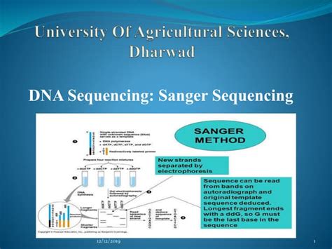 Dna Sequencing Sangers Method Pptx Chemistry Science