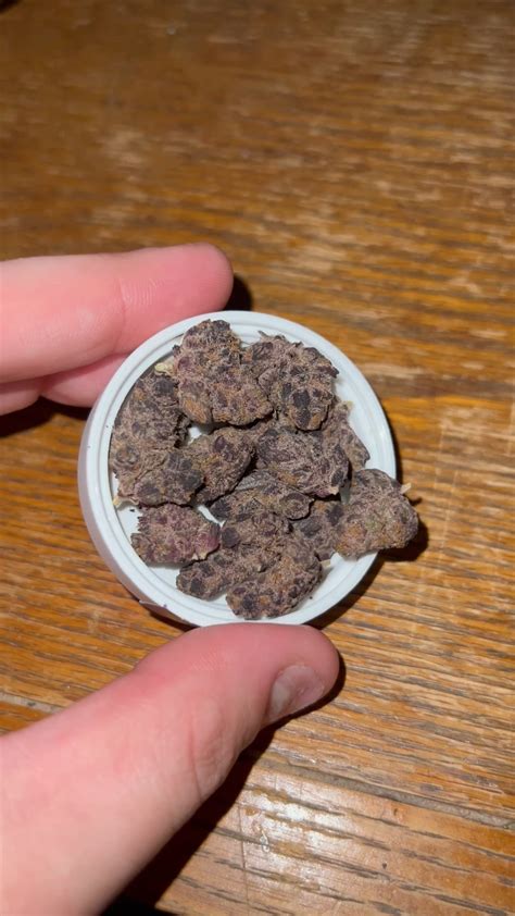 Bahama Mama 🌴🔥 34 Thc 👀 Rweedporn