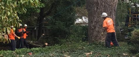 The Average Response Time