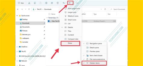 Programdata Windows 11